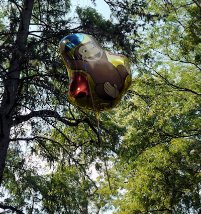 How to Get a Model Rocket Out of a Tree - Robot Room