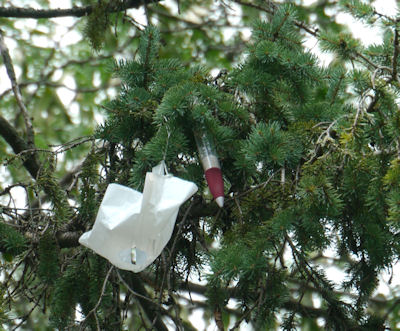 How to Get a Model Rocket Out of a Tree - Robot Room