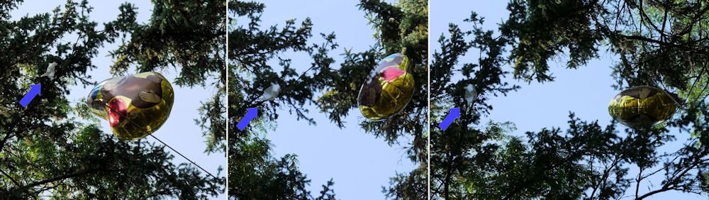 How to Get a Model Rocket Out of a Tree - Robot Room